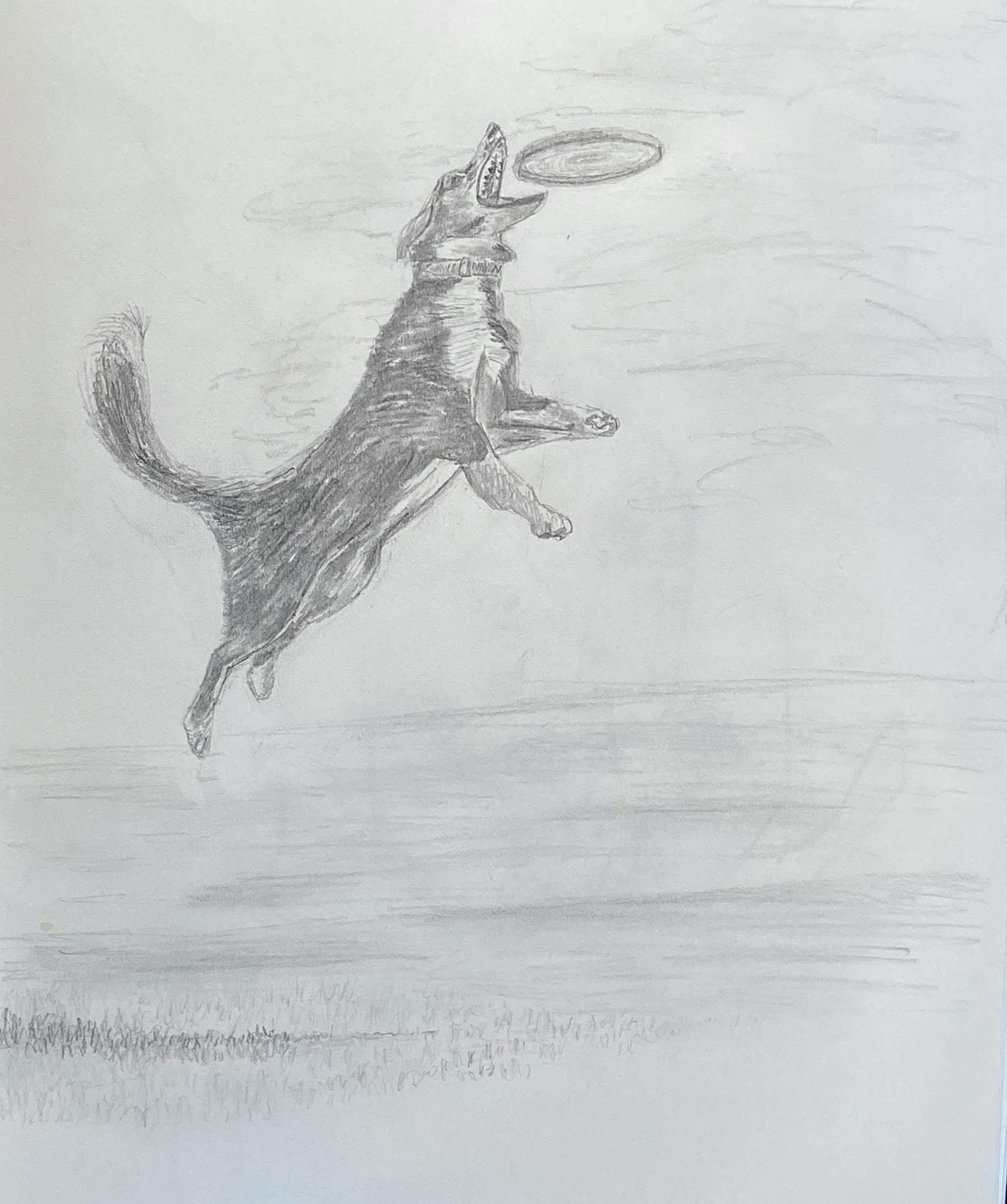 Frisbee Dog! – Art Bern