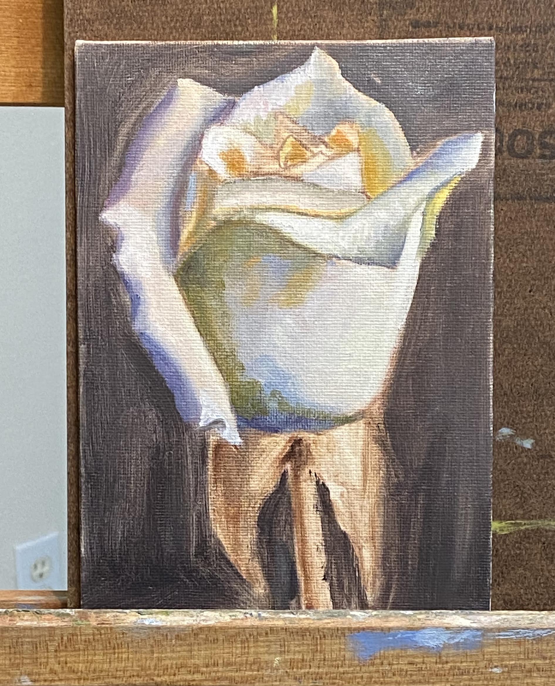 Flower Study #5: Pink Rose – Art Bern