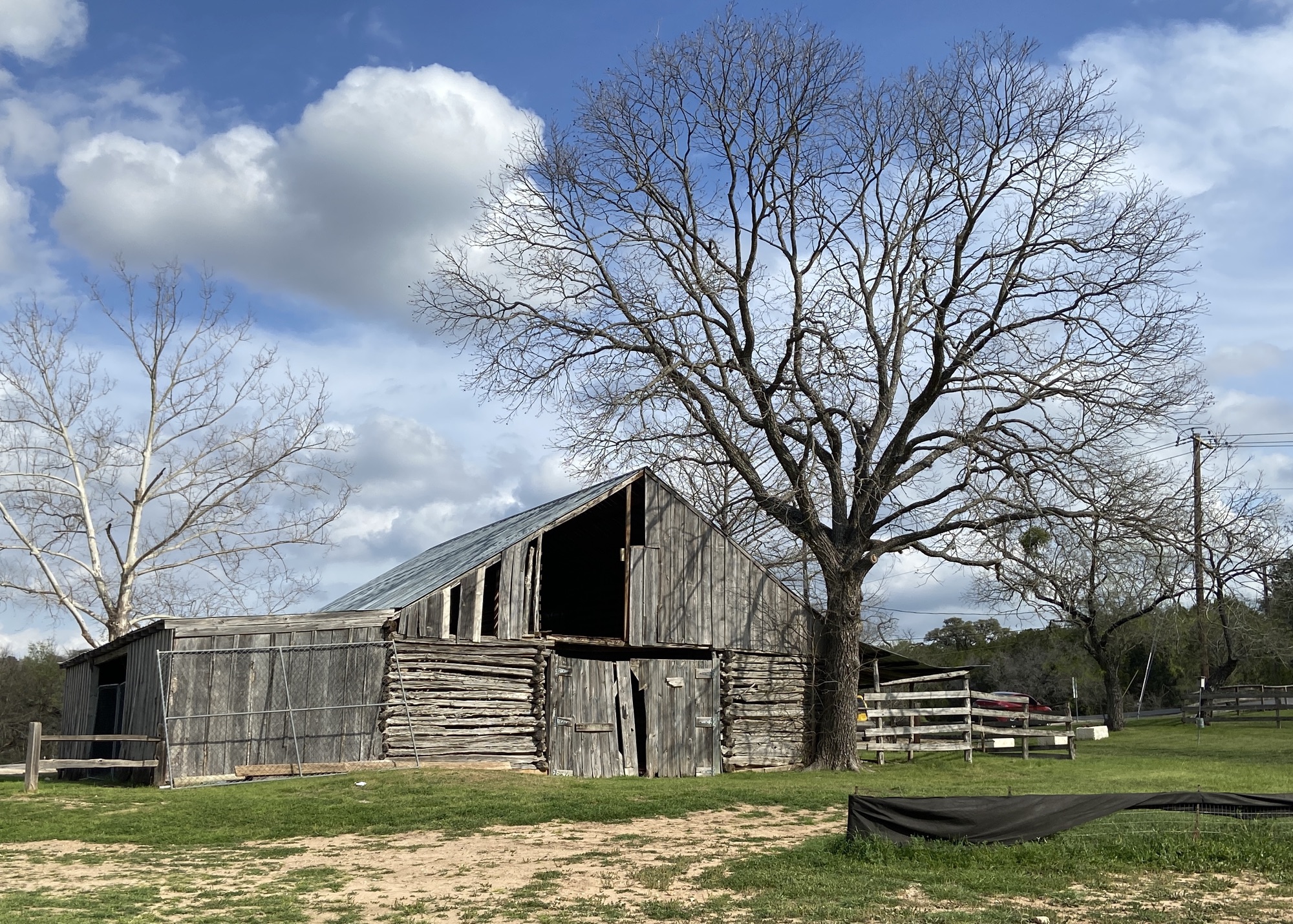 Barns, Bluebonnets, and Barks – Art Bern